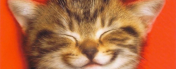 м. лебовски лайв