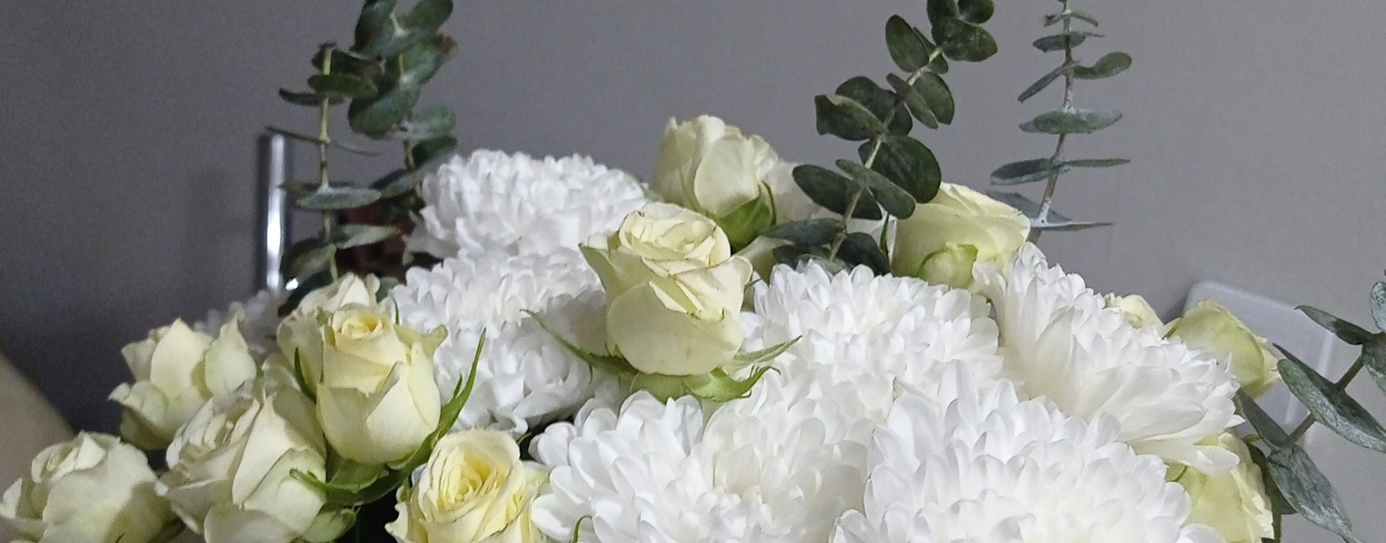 счастье в носках