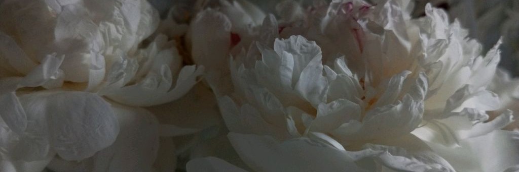 Береги Крылья