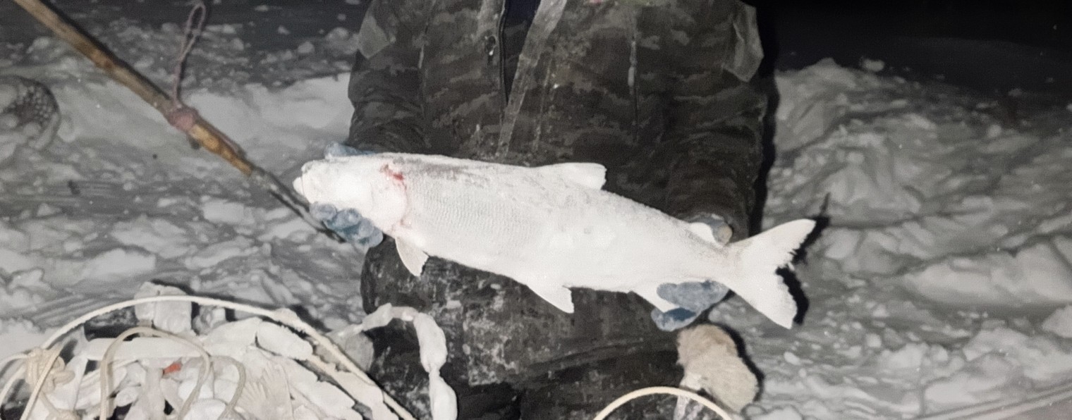 Заядлый рыбак 86 rus