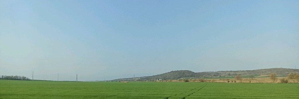 Станичная жизнь нашей семьи