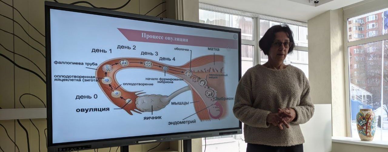 Анатомический ликбез