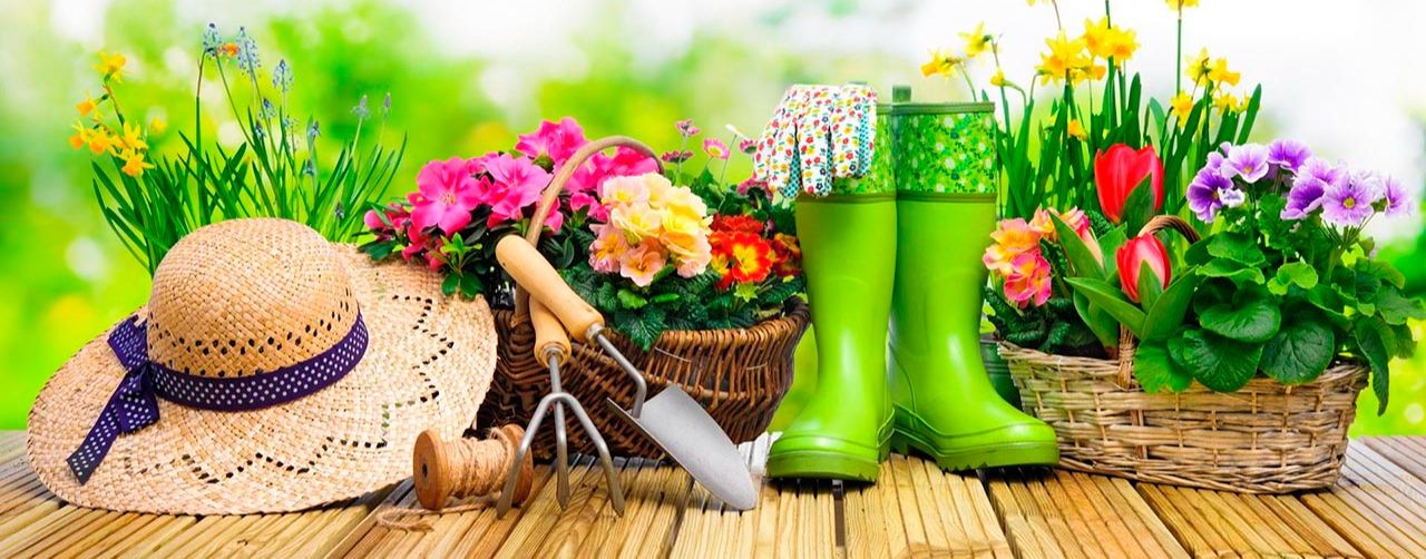 За советом к Галочке