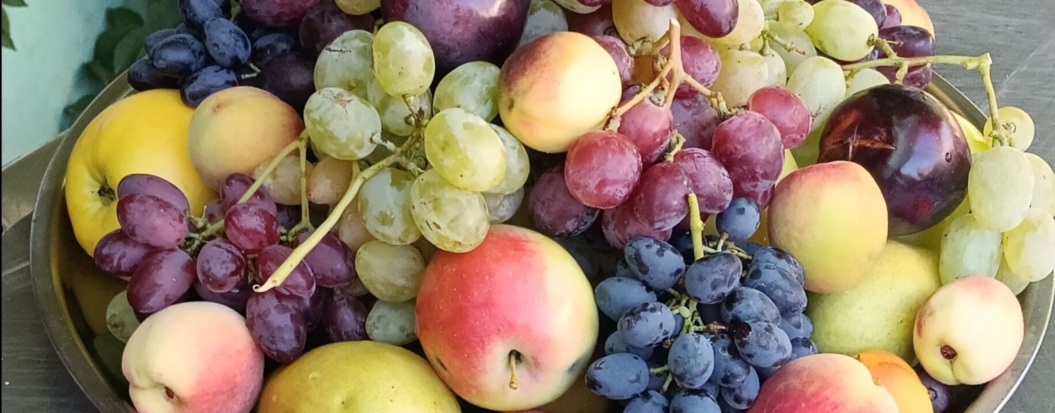 Виноград в Моздоке