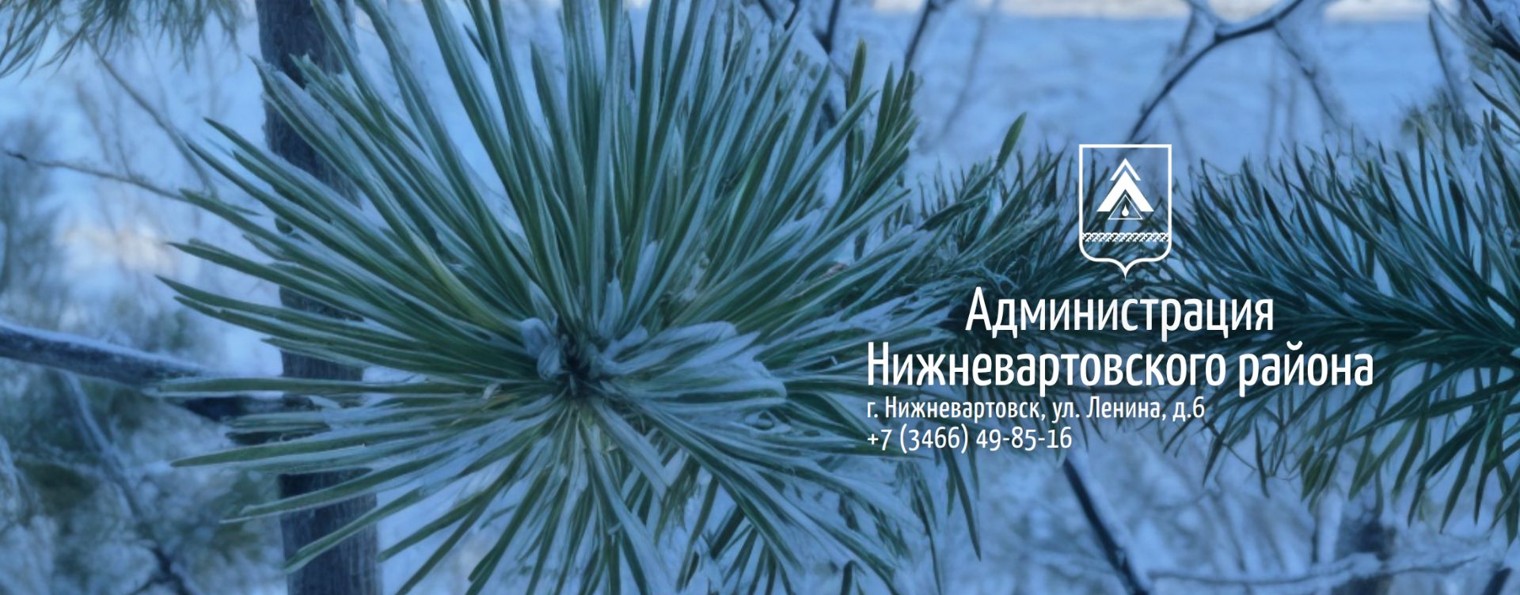 Нижневартовский район|Официально