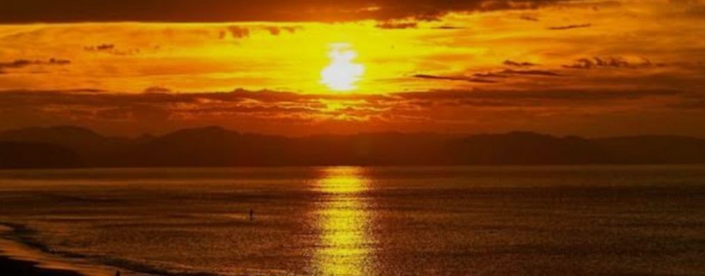 Искусство боя Винджитсу