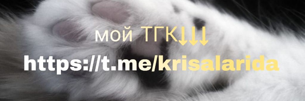 Госпожа Diva✝︎