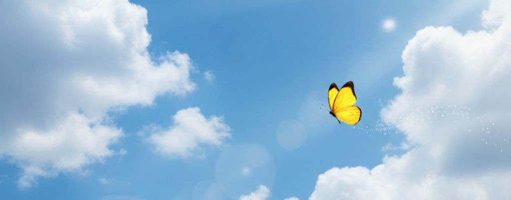 Жёлтая бабочка