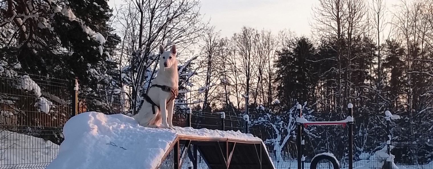 Ксешунченка 🫤😙