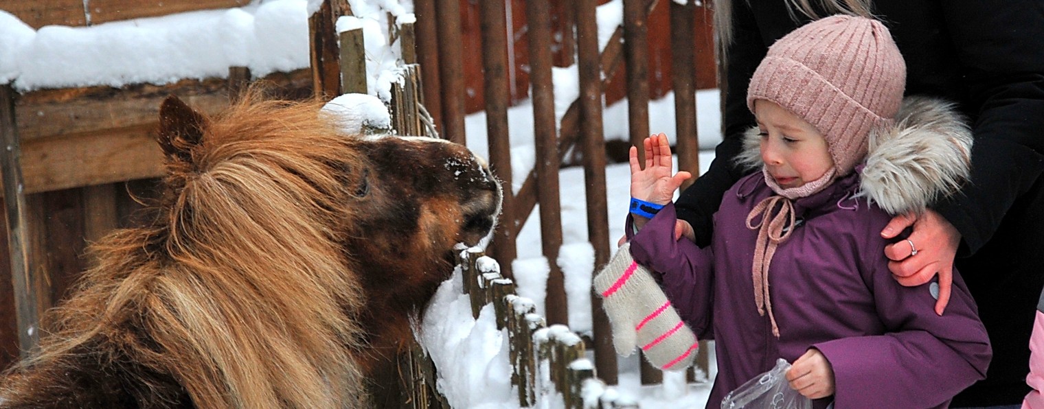 Алиса и Милана