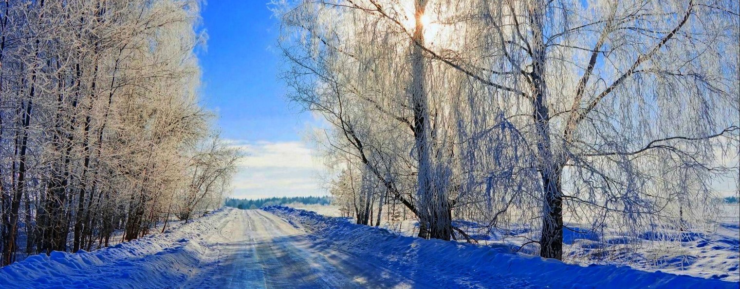 Алексей Крупнов