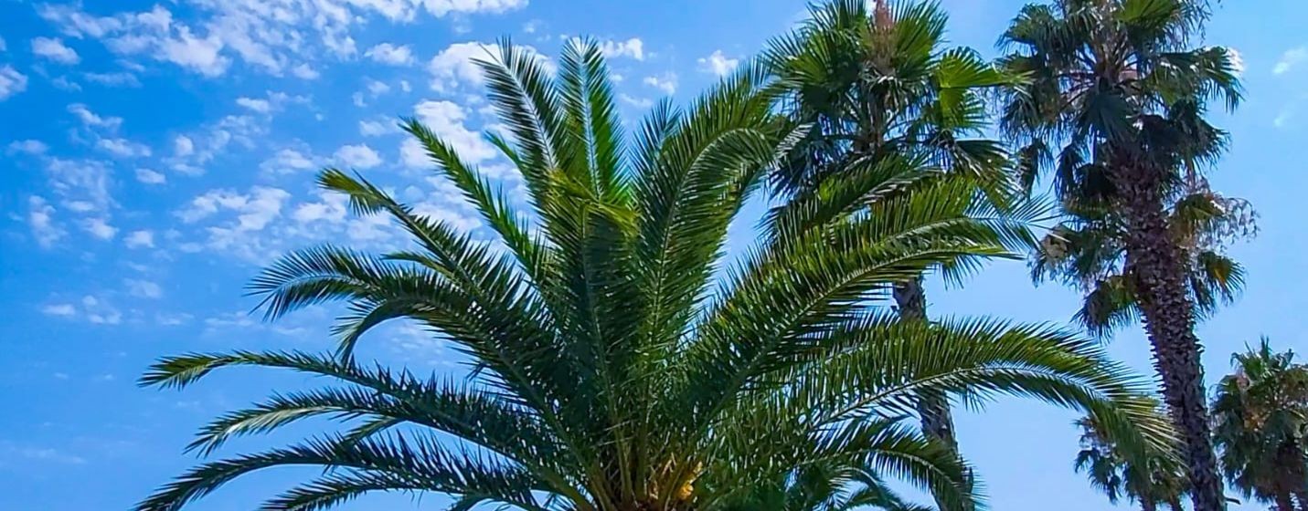 СИЛА В ПРИРОДЕ