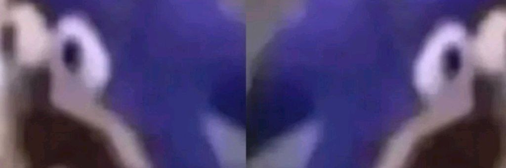 🤪 Саняш 24К🦔