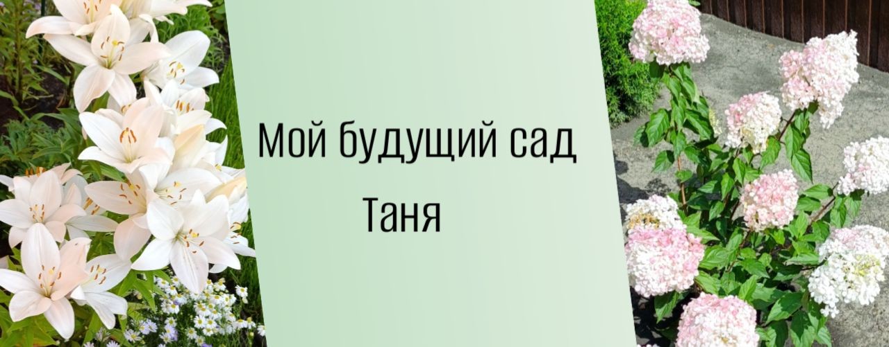 Мой будущий сад 🌿Таня