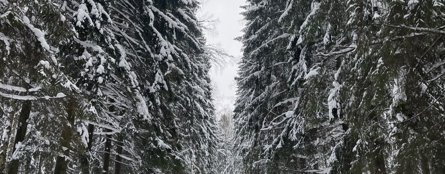 Биологиня Виктория Валерьевна viki.bonart