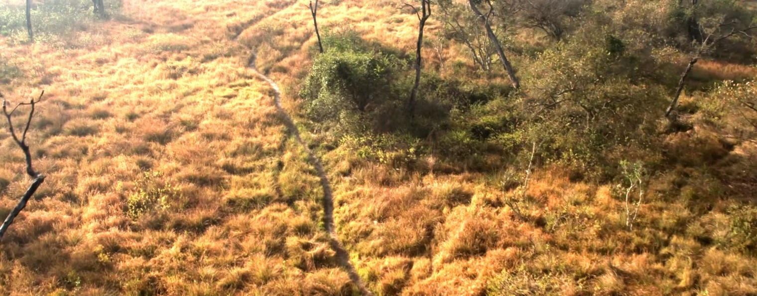 Spectator channel7766