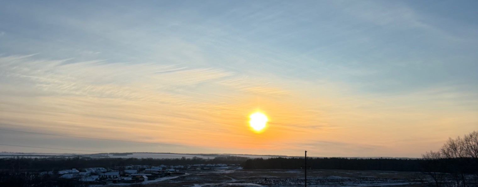 Чихуахуа Фрося