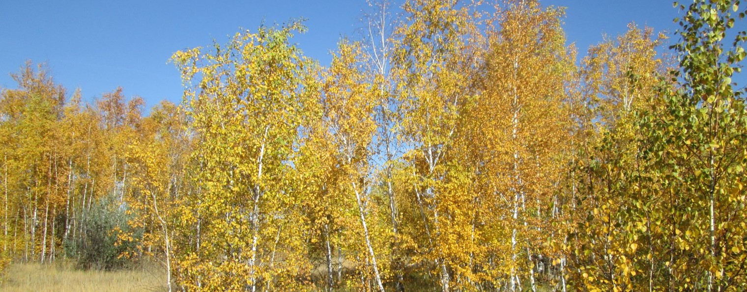 Район деревни