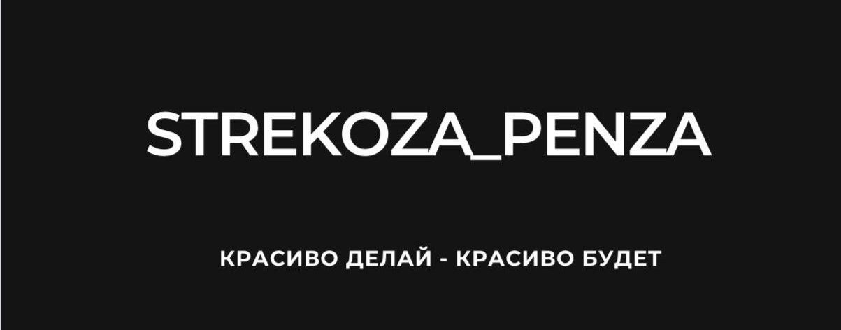 strekoza_penza