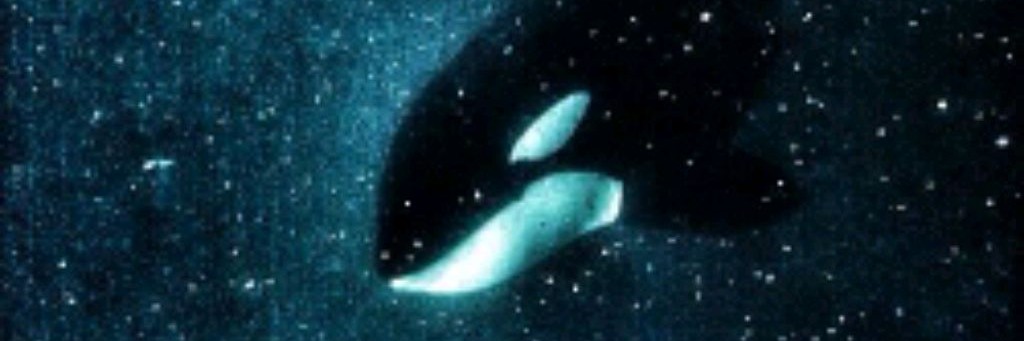 КатяМелиям