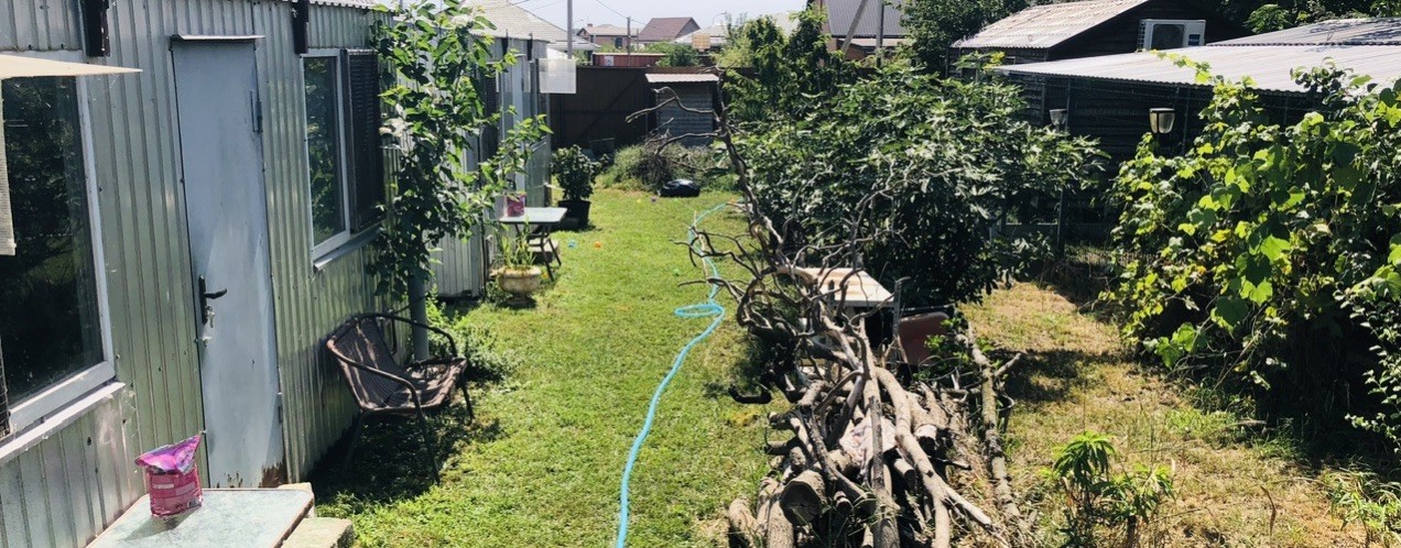 Приют Просто Котики