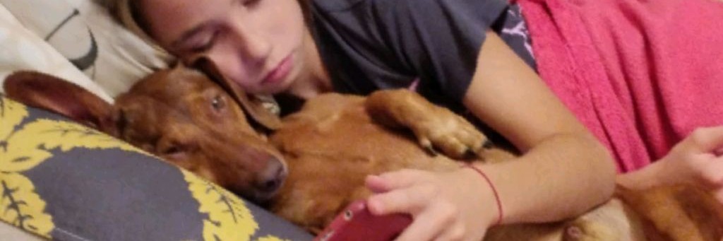 Жизнь Воздушной Акробатки И ТАКСЫ))))🐾🤸🍭