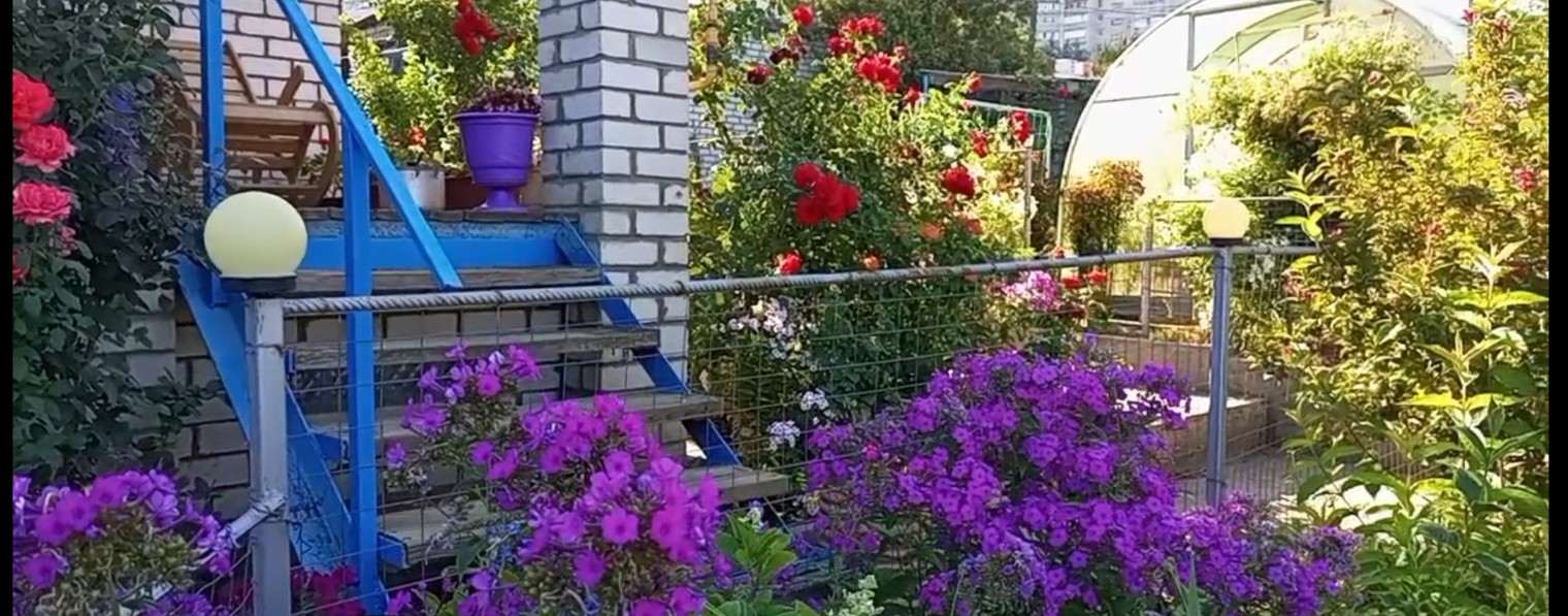 Будни Волгоградки.