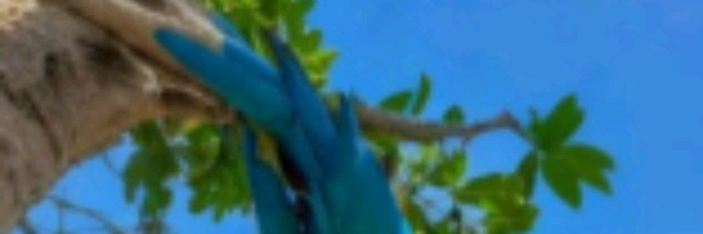 🐬Elizabeth!🫧Summer🏖️