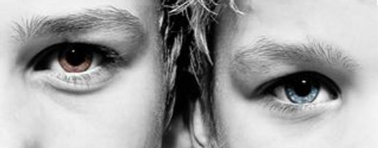 Зрение без границ