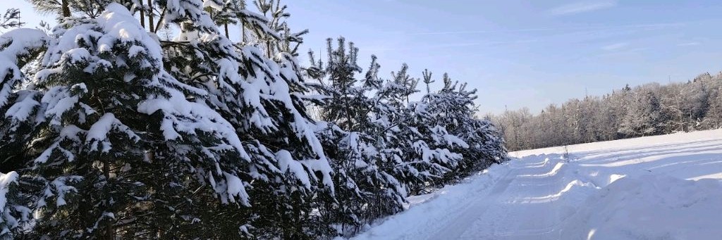 Клуб Крачка