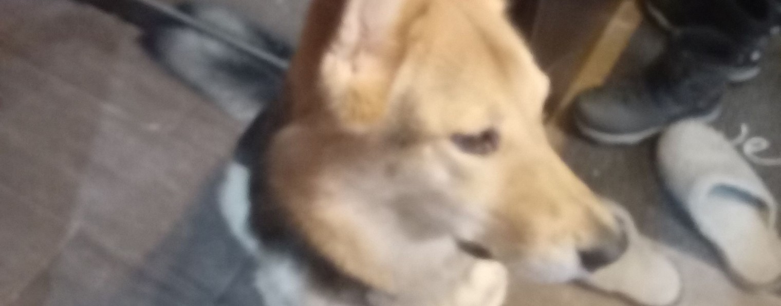 Mr.SamurayX2