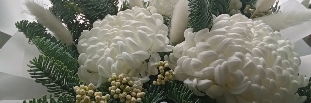 Эльза Сафронова