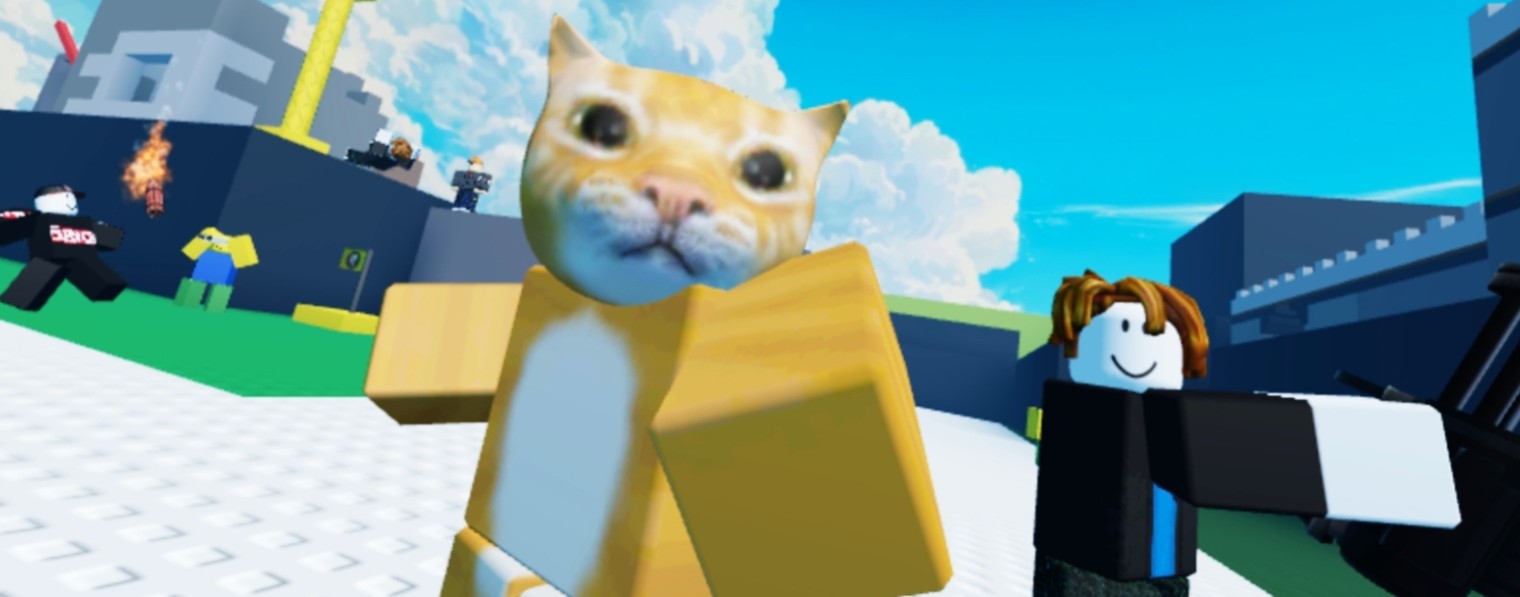 CAT PLAY / Кот играет.