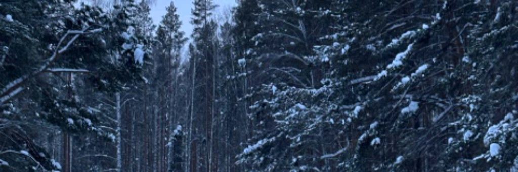 Машок И Мишок