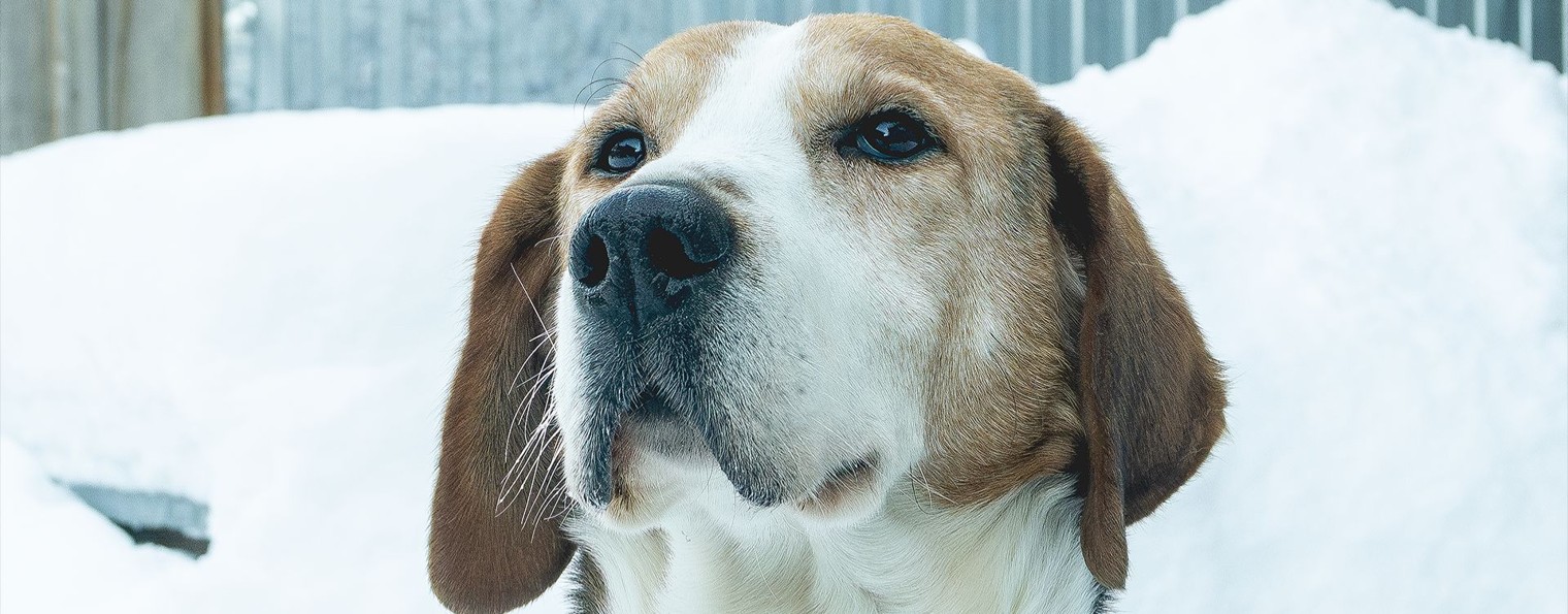 Юра Сысолетин.