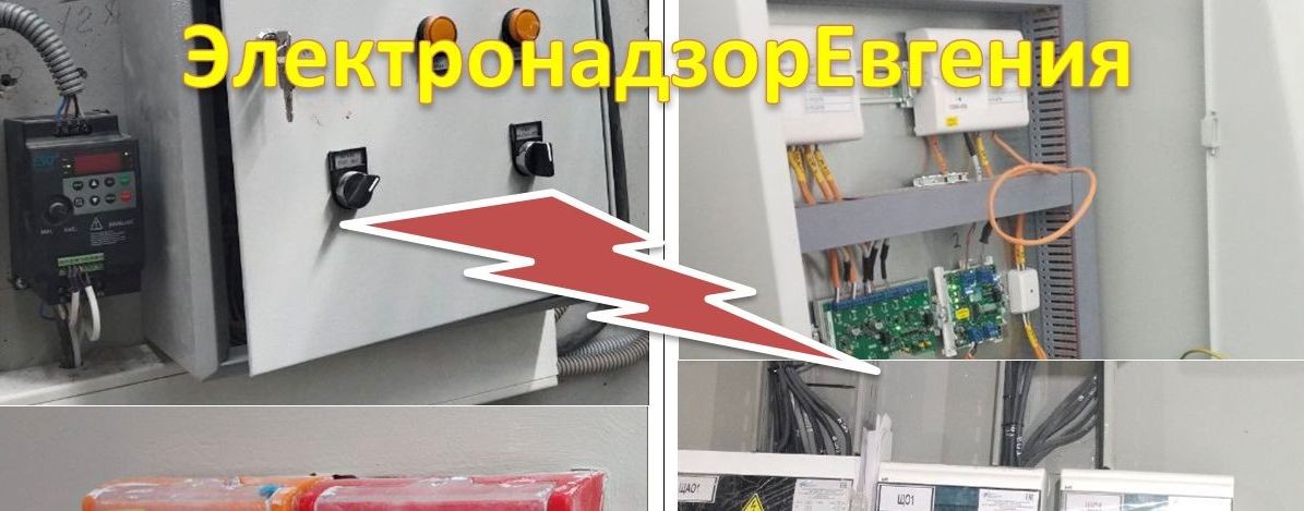 ЭлектронадзорЕвгения
