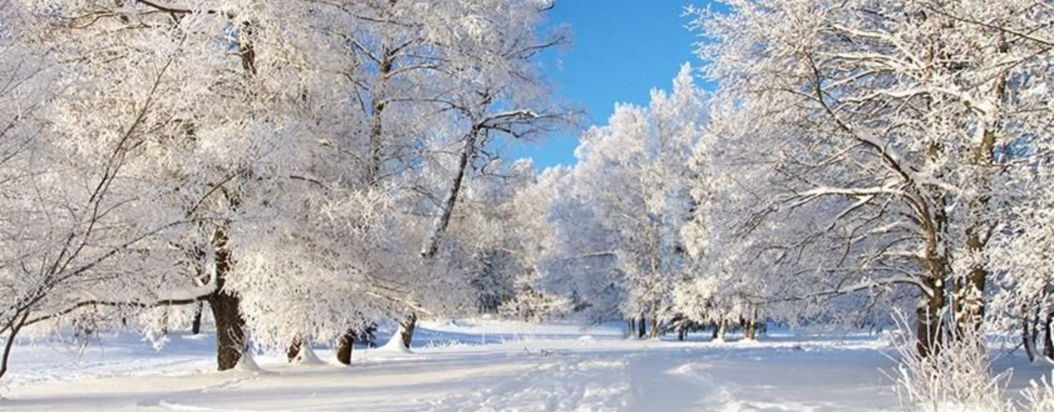 Алексей Инвентаров.