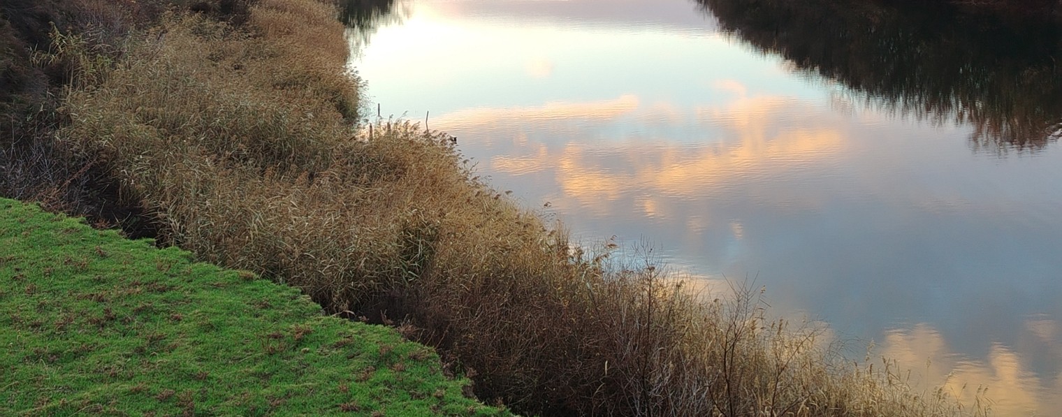 Радости Свет