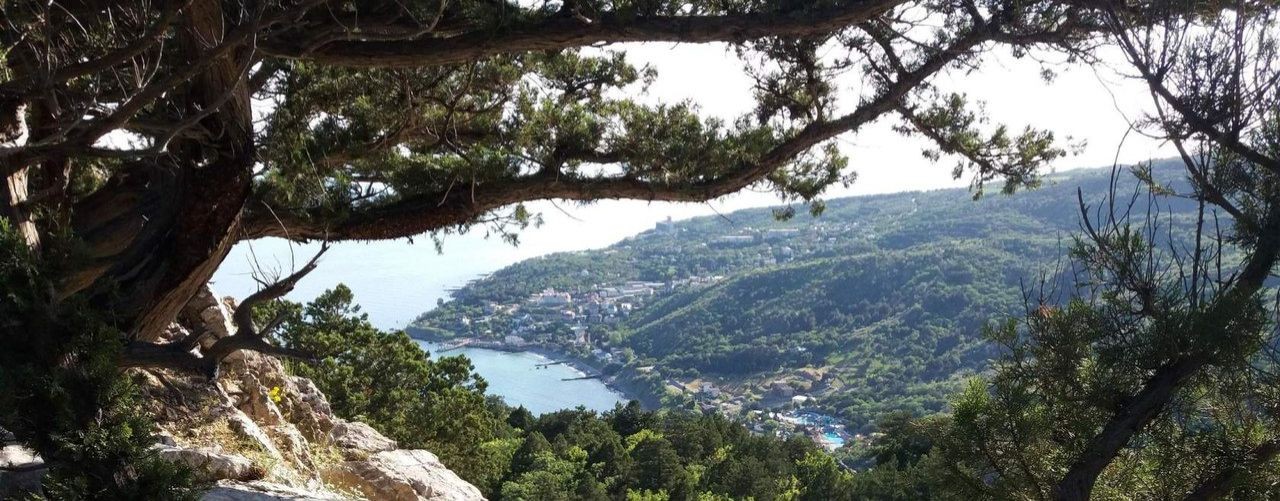 Елена Витер