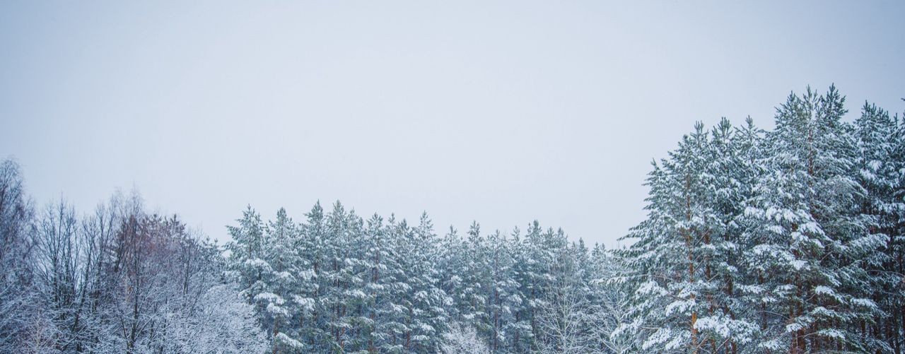 Наталья Лазар