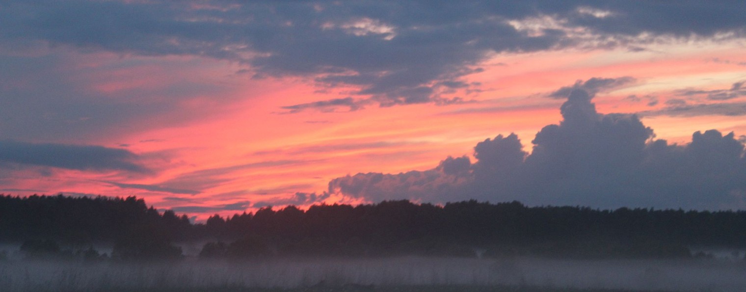 Александр Фриш