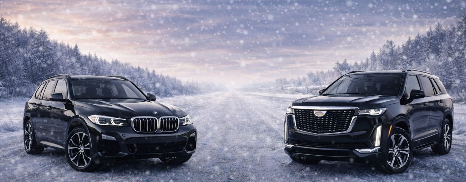 Подбор АВТО ИЗ Беларуси в Росиию