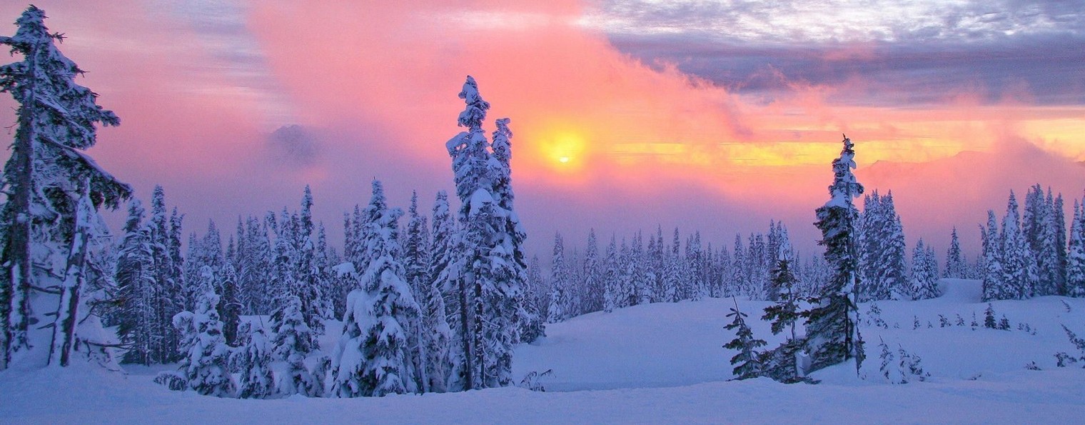 Zабайкалочка