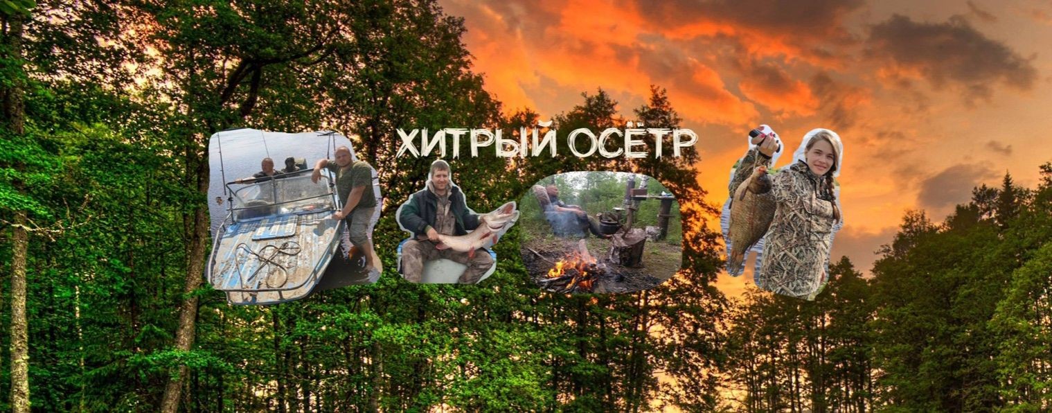 -ХИТРЫЙ ОСЁТР-