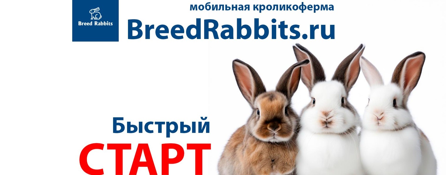 Breed Rabbits Мобильная кроликоферма