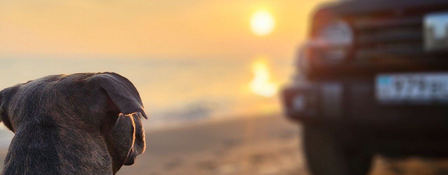 Tank 300 ★ Heavy Metal Music