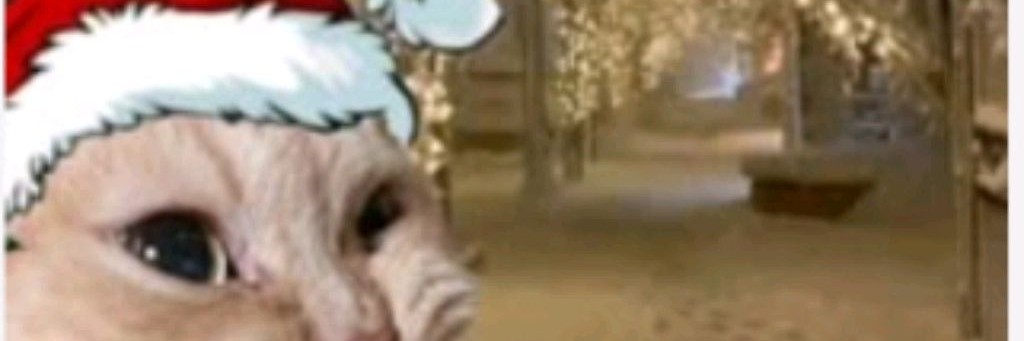 Никусик😘😍😘