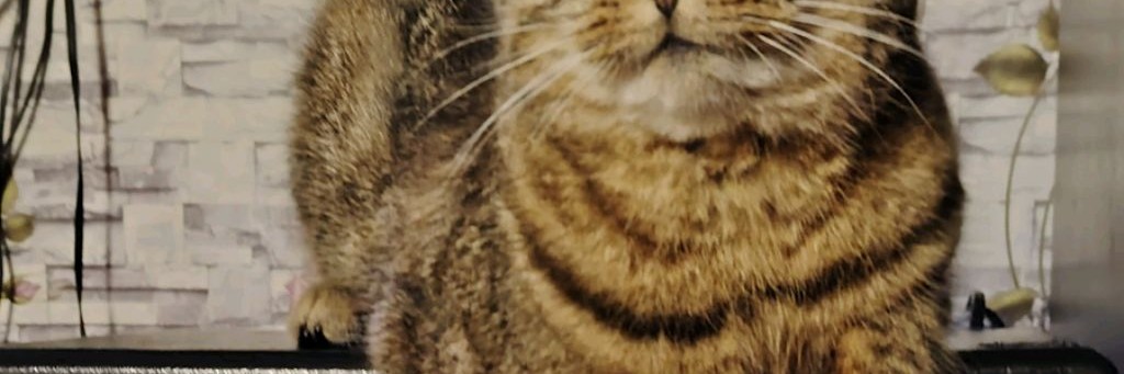 Масяня Я и мои друзья.