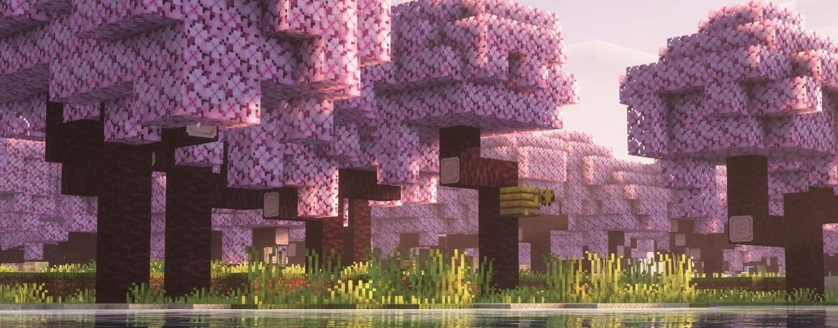 Minecraft is my life !!!