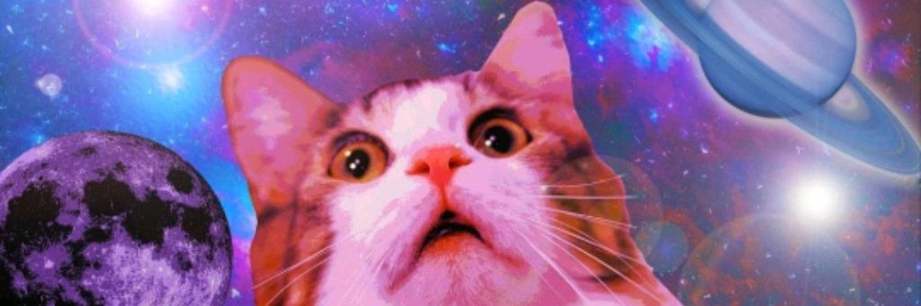 Коты Мяу Мяу 🐈 🐯🐯🐯